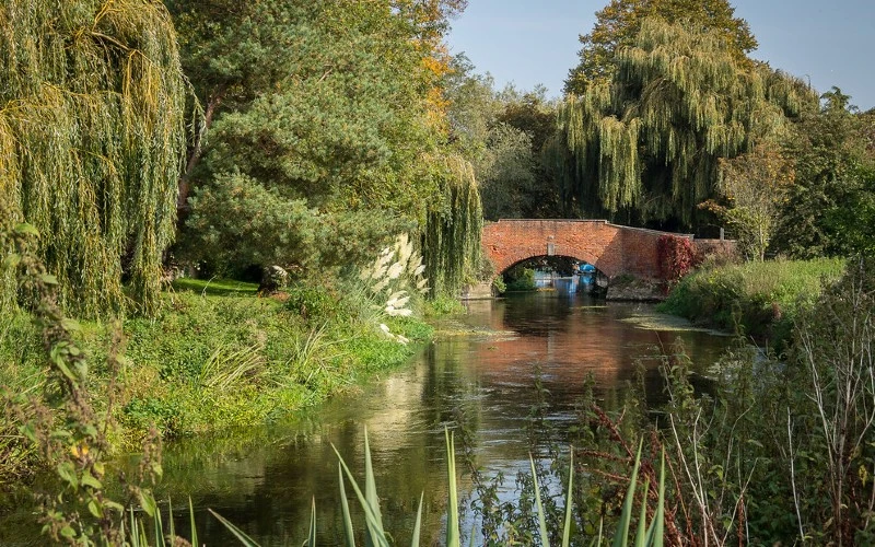 Sturry Short-Term Lets | Collard Property